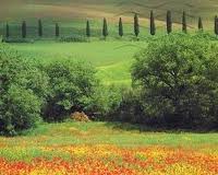 2011 Summer holidays in Cortona, enjoying the Tuscan Sun Festival ...